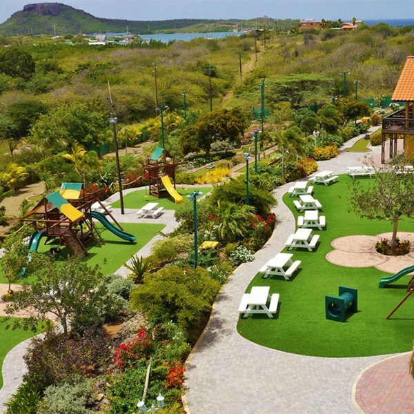 Top 10 Fun Adventures for Kids in Curacao - CURALINK